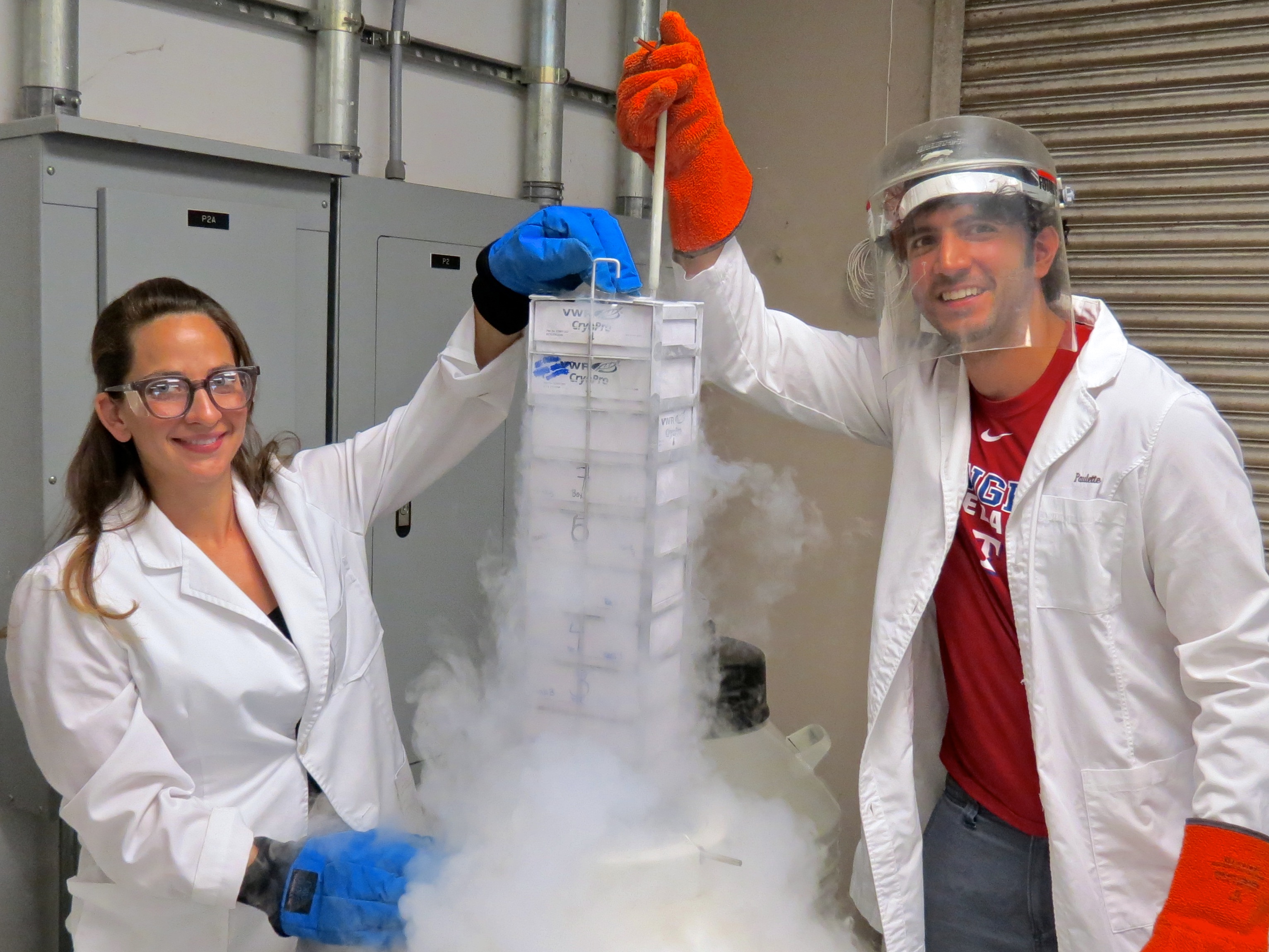 Home | Veterinary Scholars Program