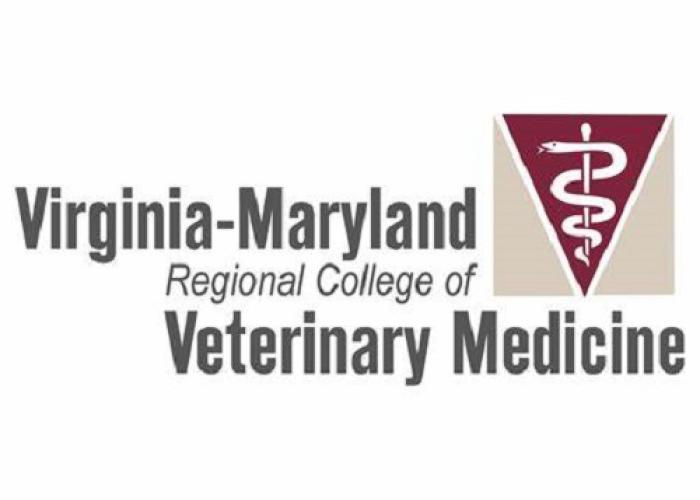 Student Applications | Veterinary Scholars Program