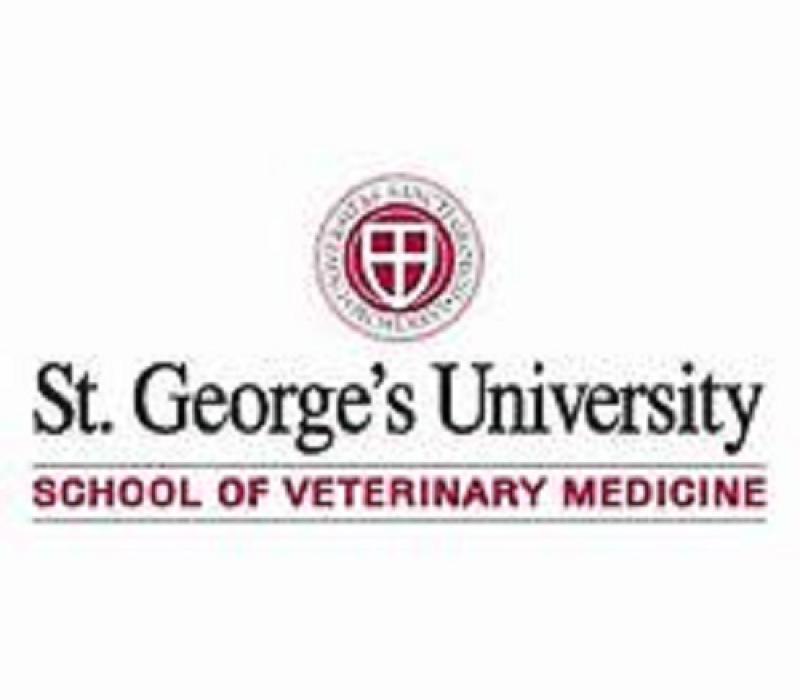 Student Applications | Veterinary Scholars Program