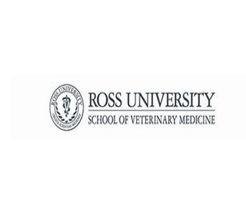 Student Applications | Veterinary Scholars Program