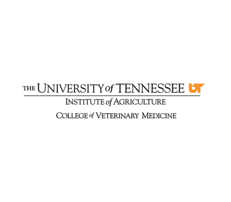 Student Applications | Veterinary Scholars Program